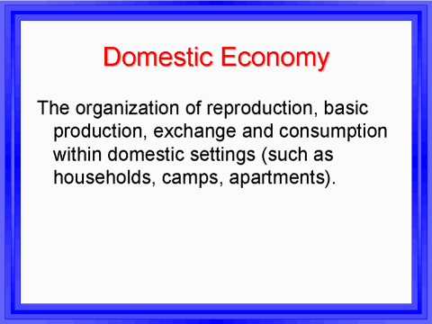 Domestic Economy